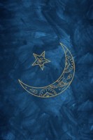 Contact – Laughing Moon